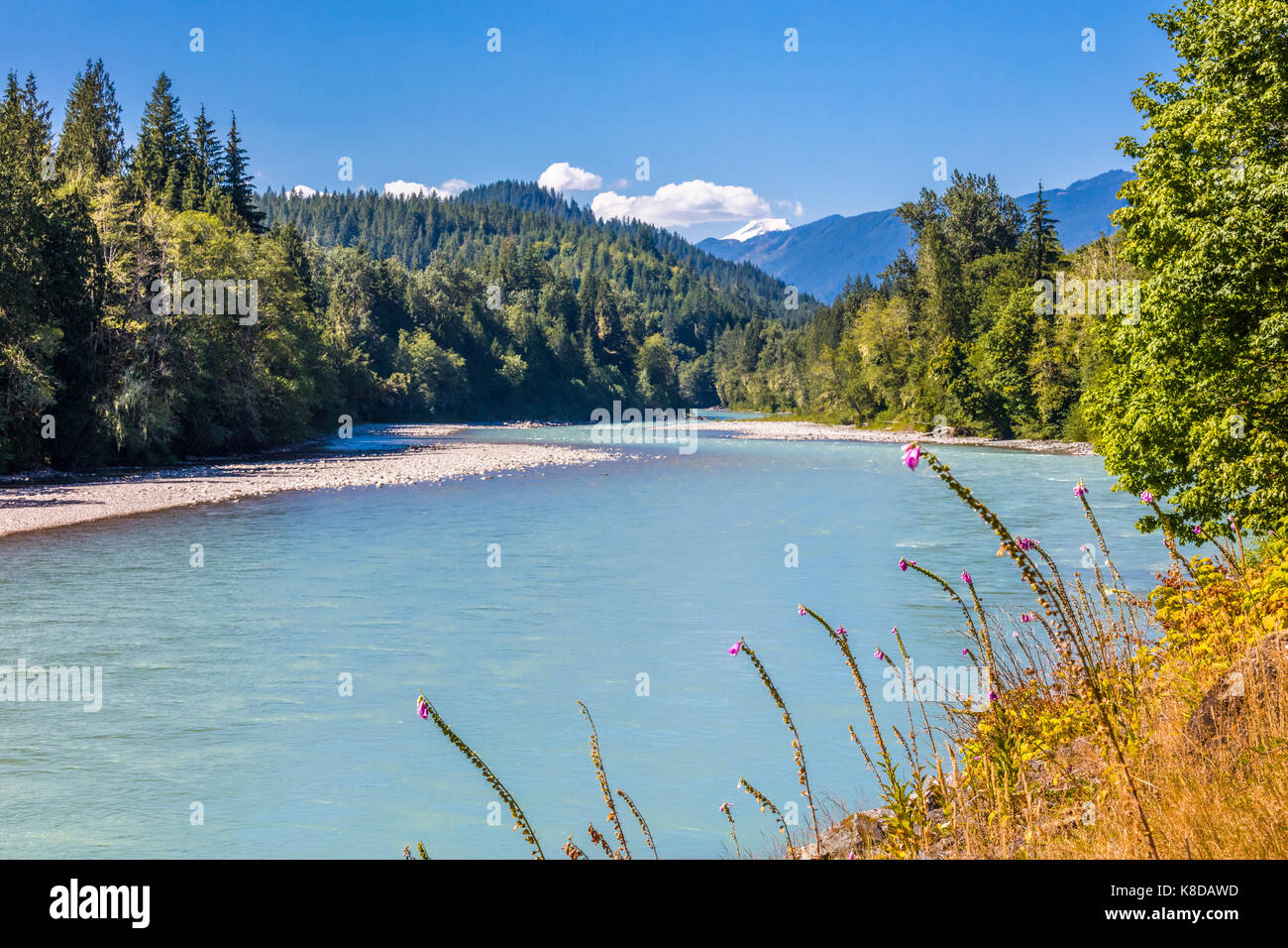 Sauk River in Northwest Washington State Stock Photo - Alamy