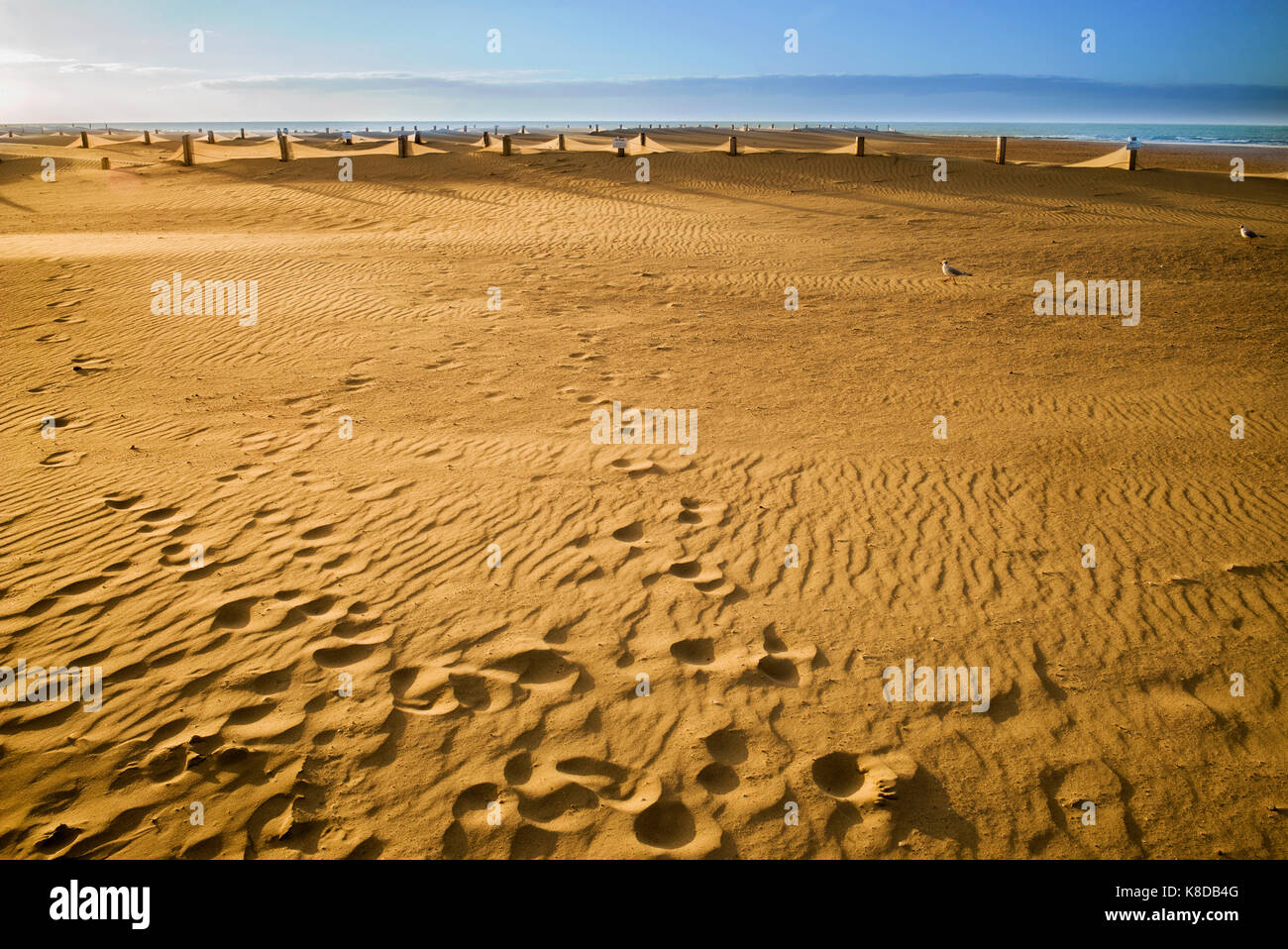 Wooden poles of the sea defences line the beach at Malo Les Bains beach ...