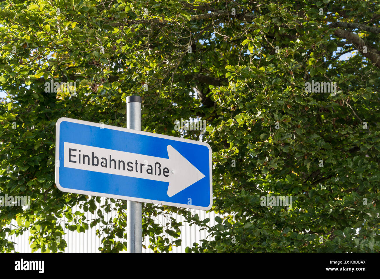 A German One Way street sign with trees in the background Stock Photo ...