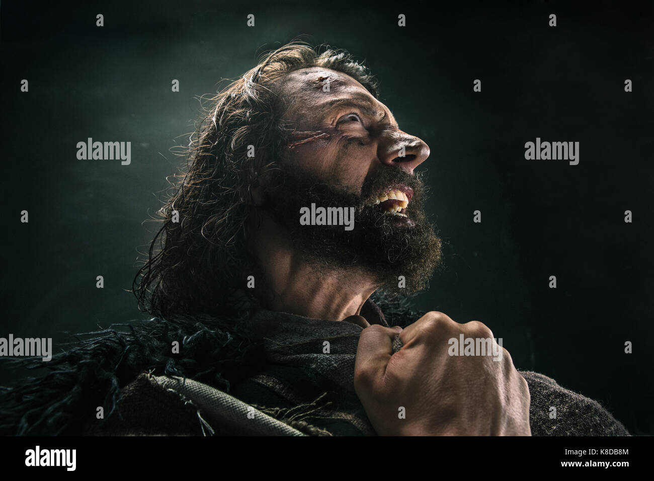 Battle cry viking High Resolution Stock Photography and Images - Alamy