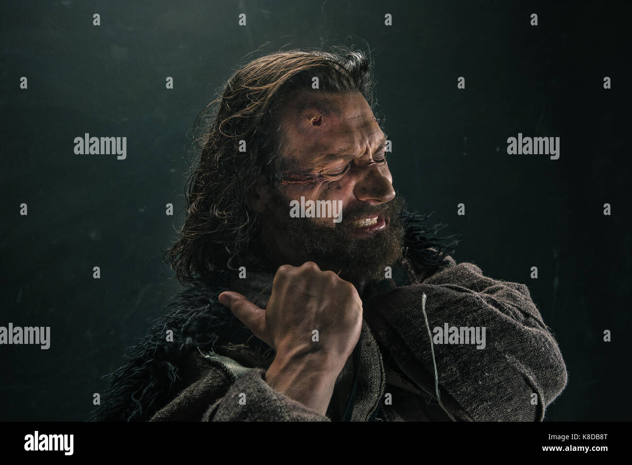 Battle cry viking High Resolution Stock Photography and Images - Alamy