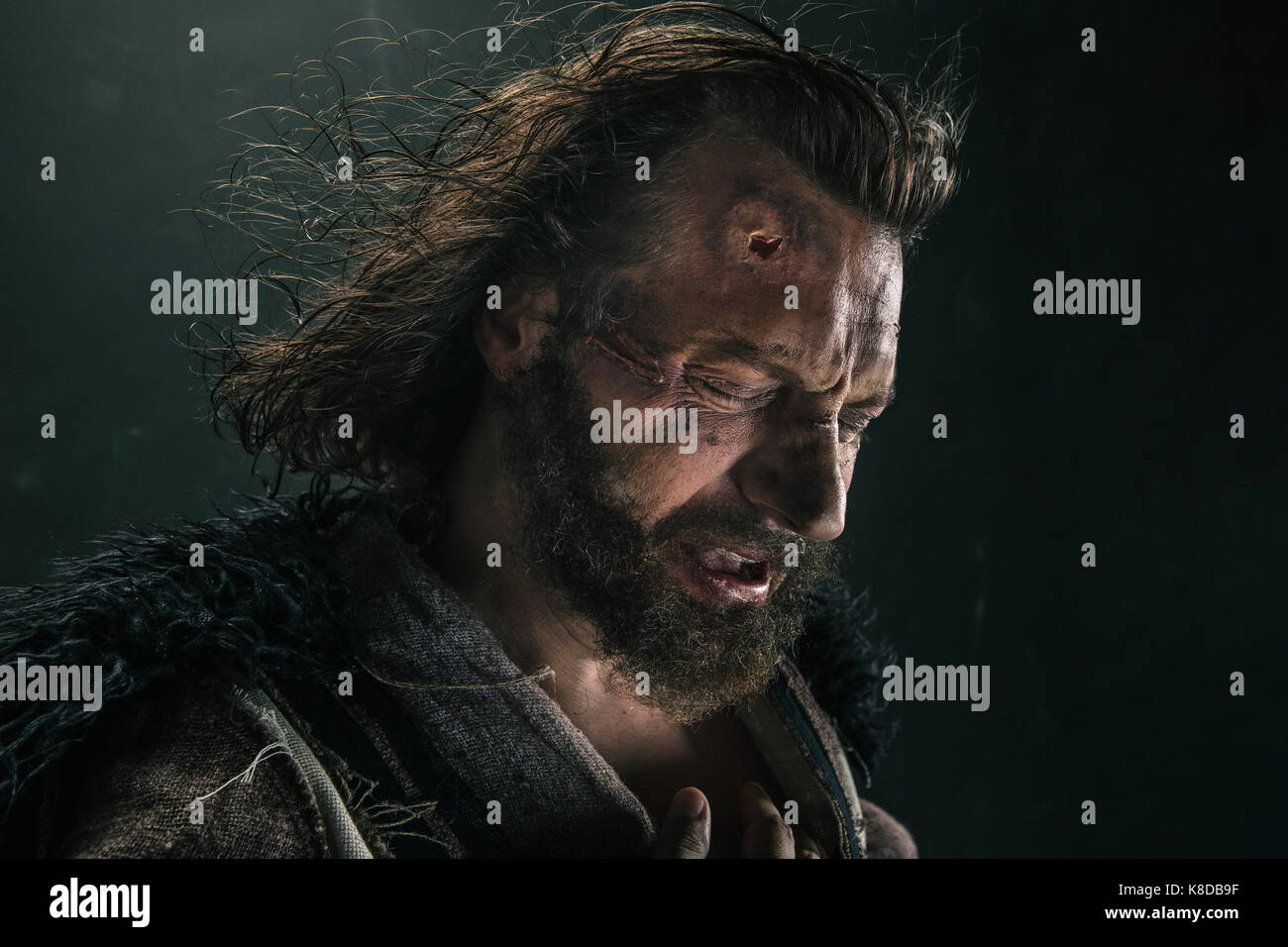 Battle cry viking High Resolution Stock Photography and Images - Alamy