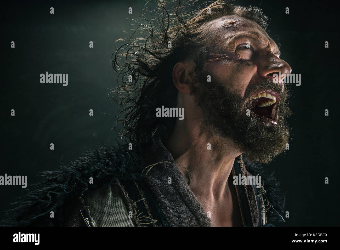 Battle cry viking High Resolution Stock Photography and Images - Alamy