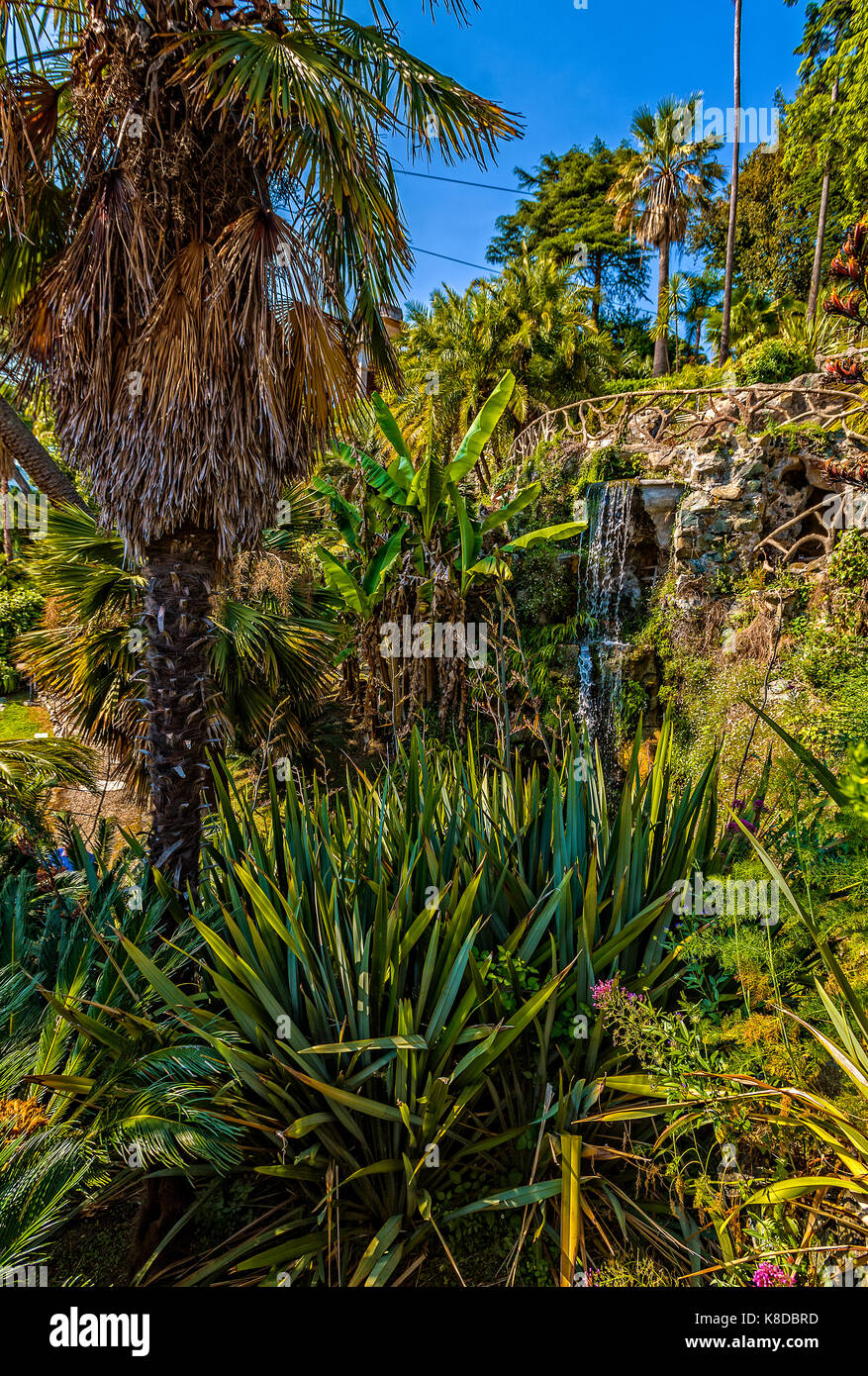 Italy Liguria Chiavari - Villa Rocca, Botanical garden Stock Photo - Alamy