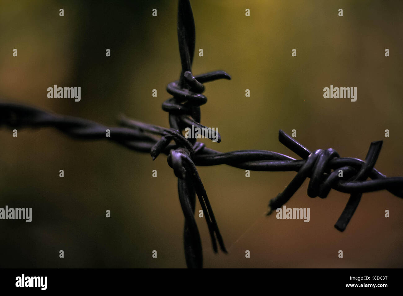 Symbol Barbed Wire High Resolution Stock Photography and Images - Alamy
