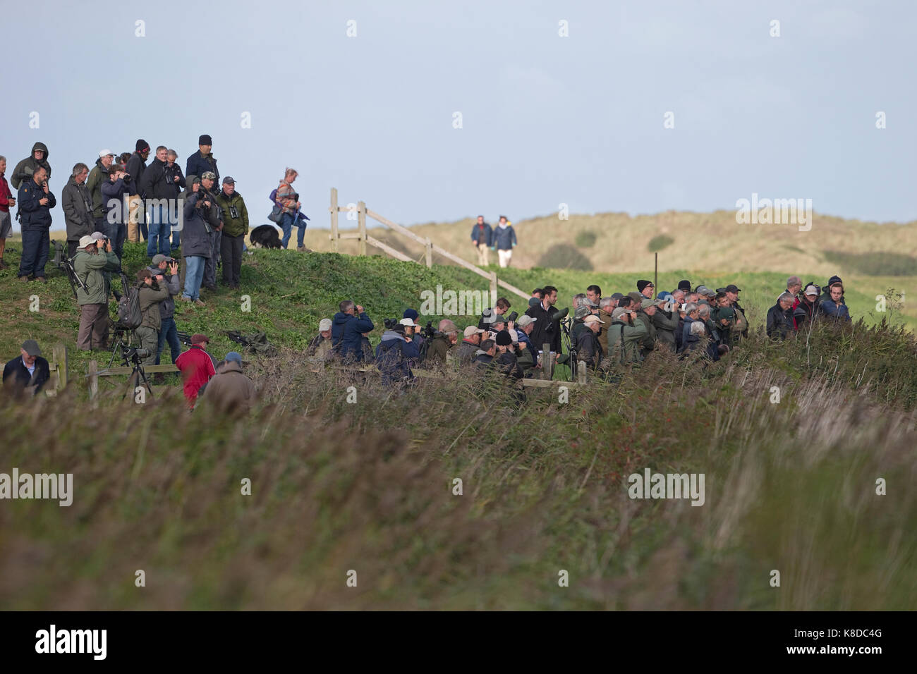 Bird twitcher hi-res stock photography and images - Alamy