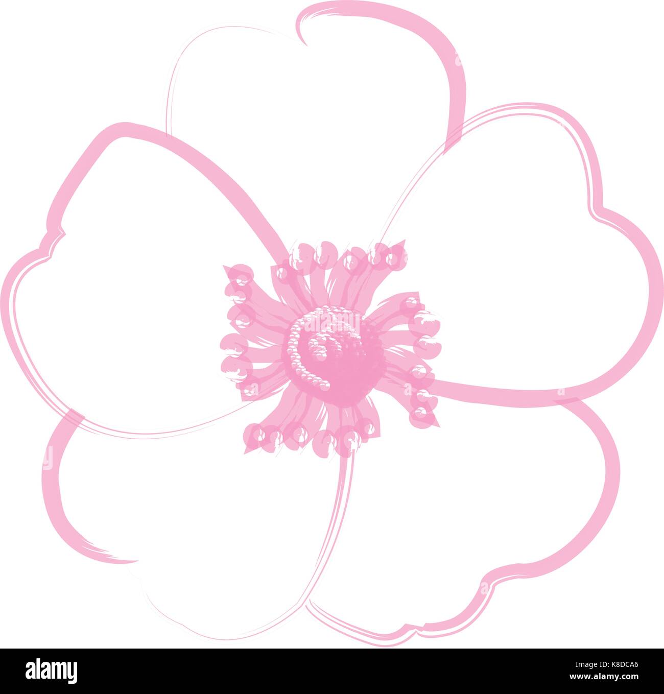 Isolated flower outline Stock Vector Image & Art - Alamy