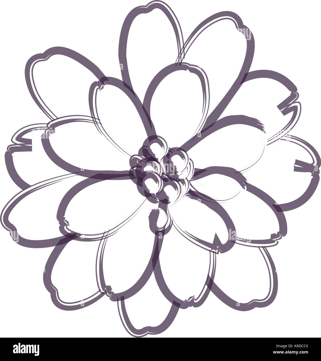 Isolated flower outline Stock Vector Image & Art - Alamy