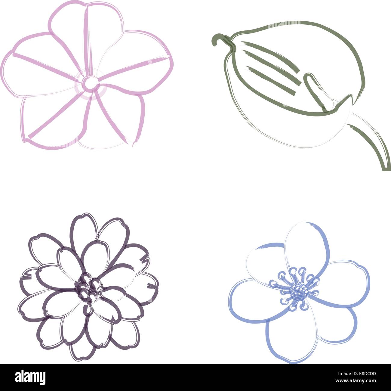 Set of flower outlines Stock Vector Image & Art - Alamy