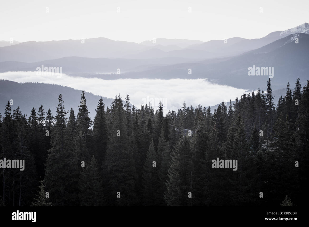Morning mountain landscape Stock Photo - Alamy