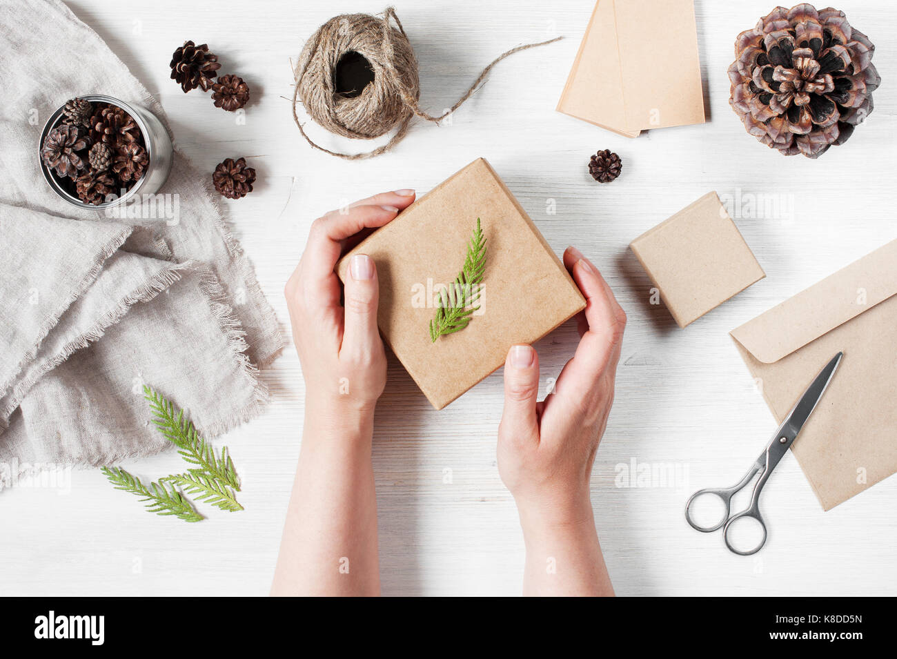 Female hands holding the craft gift box with branch Stock Photo - Alamy