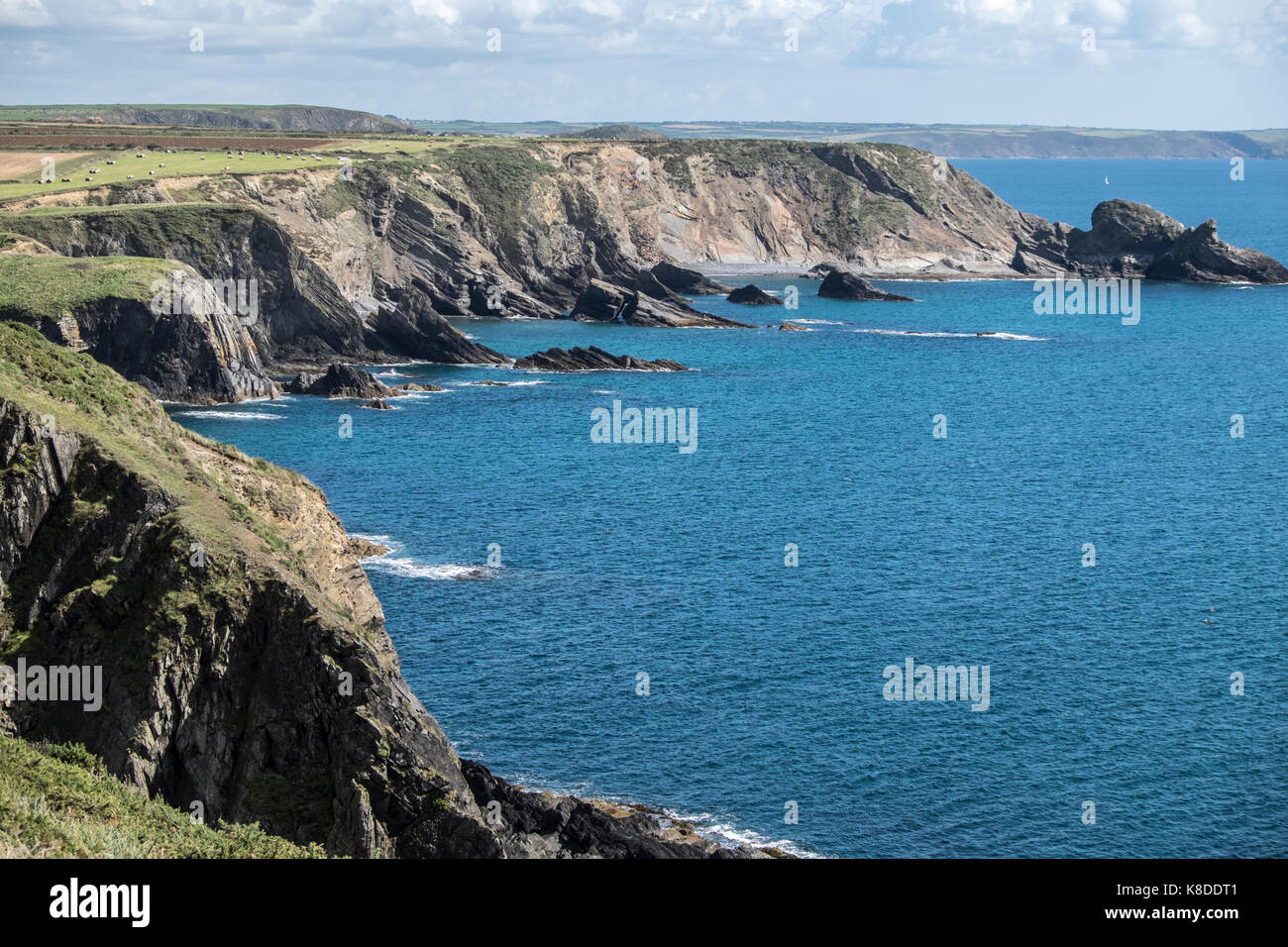 Pembrokeshire coast, near Solva Stock Photo - Alamy