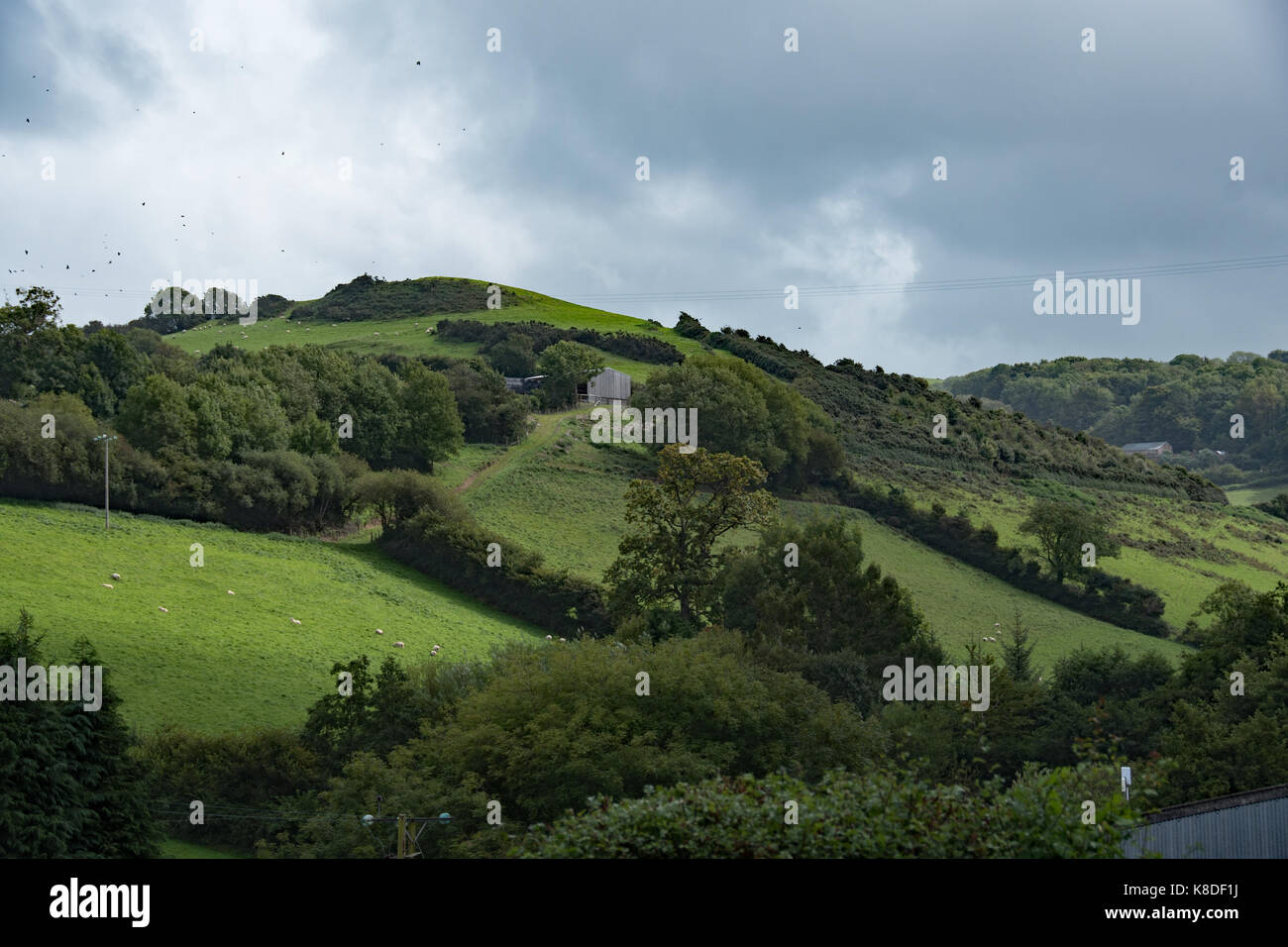 Countryside around Combe Martin, North Devon Stock Photo - Alamy