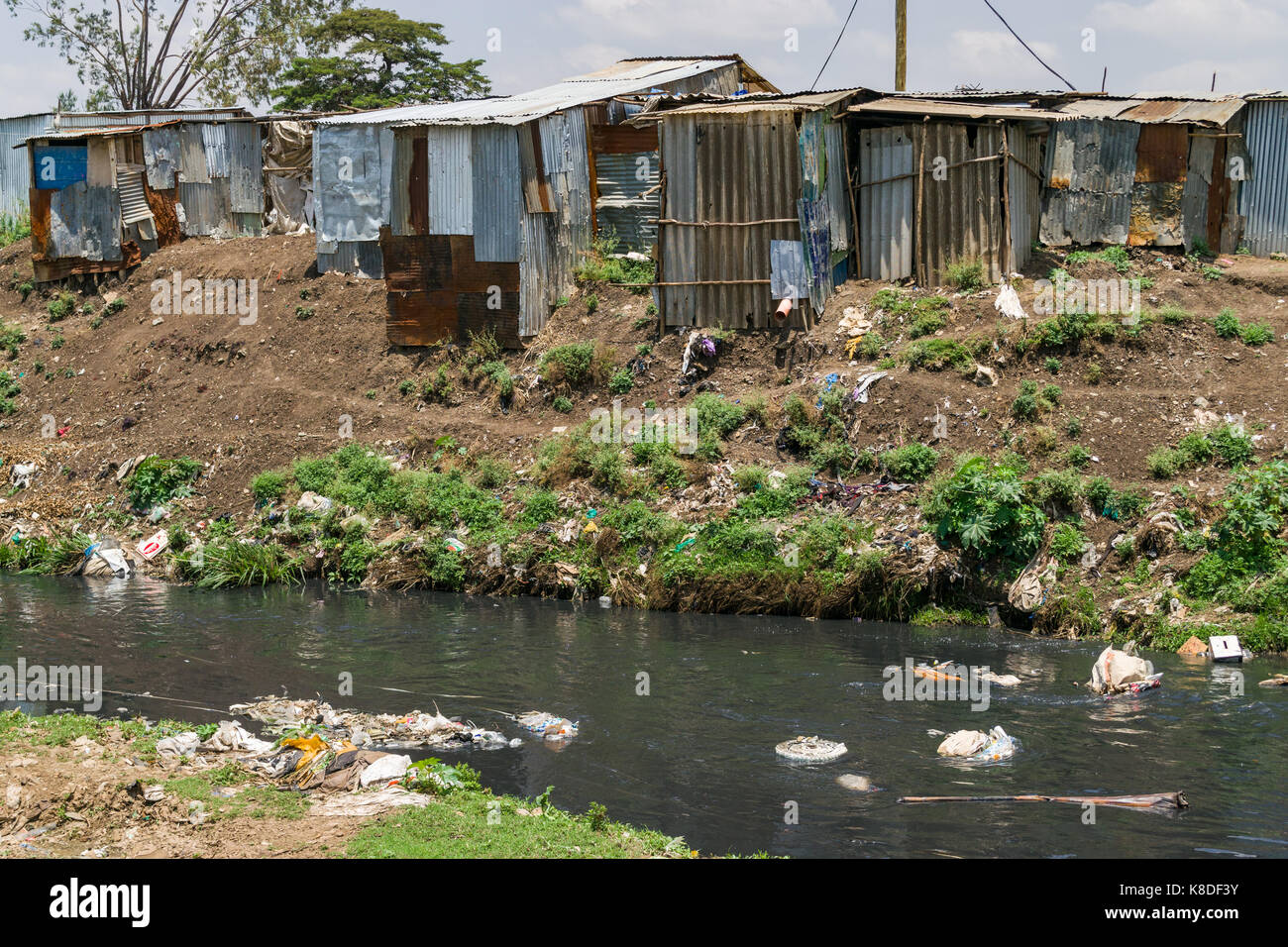 Slum shacks line the Ngong river which is polluted with rubbish ...
