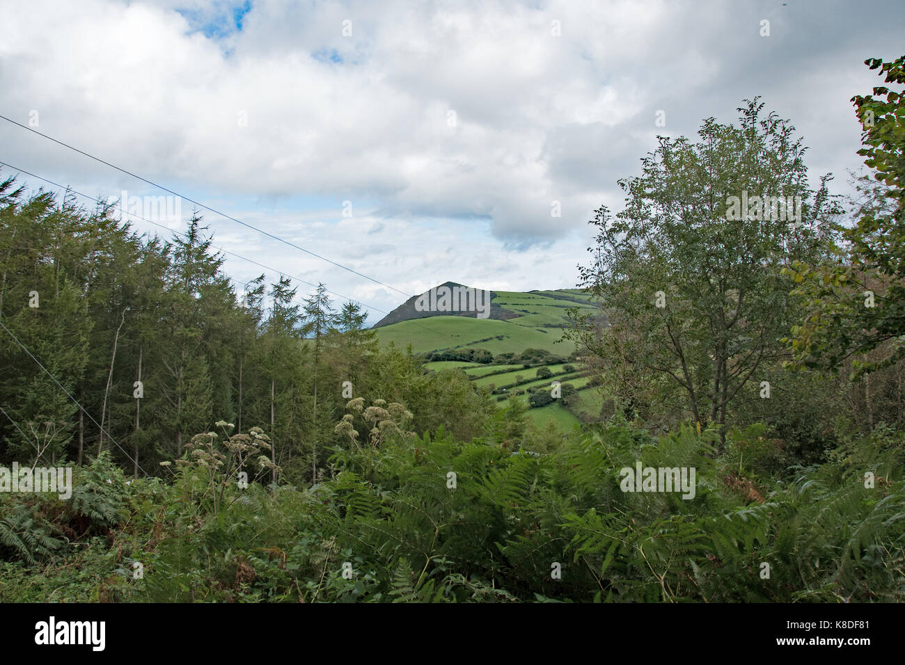 Countryside around Combe Martin, North Devon Stock Photo - Alamy