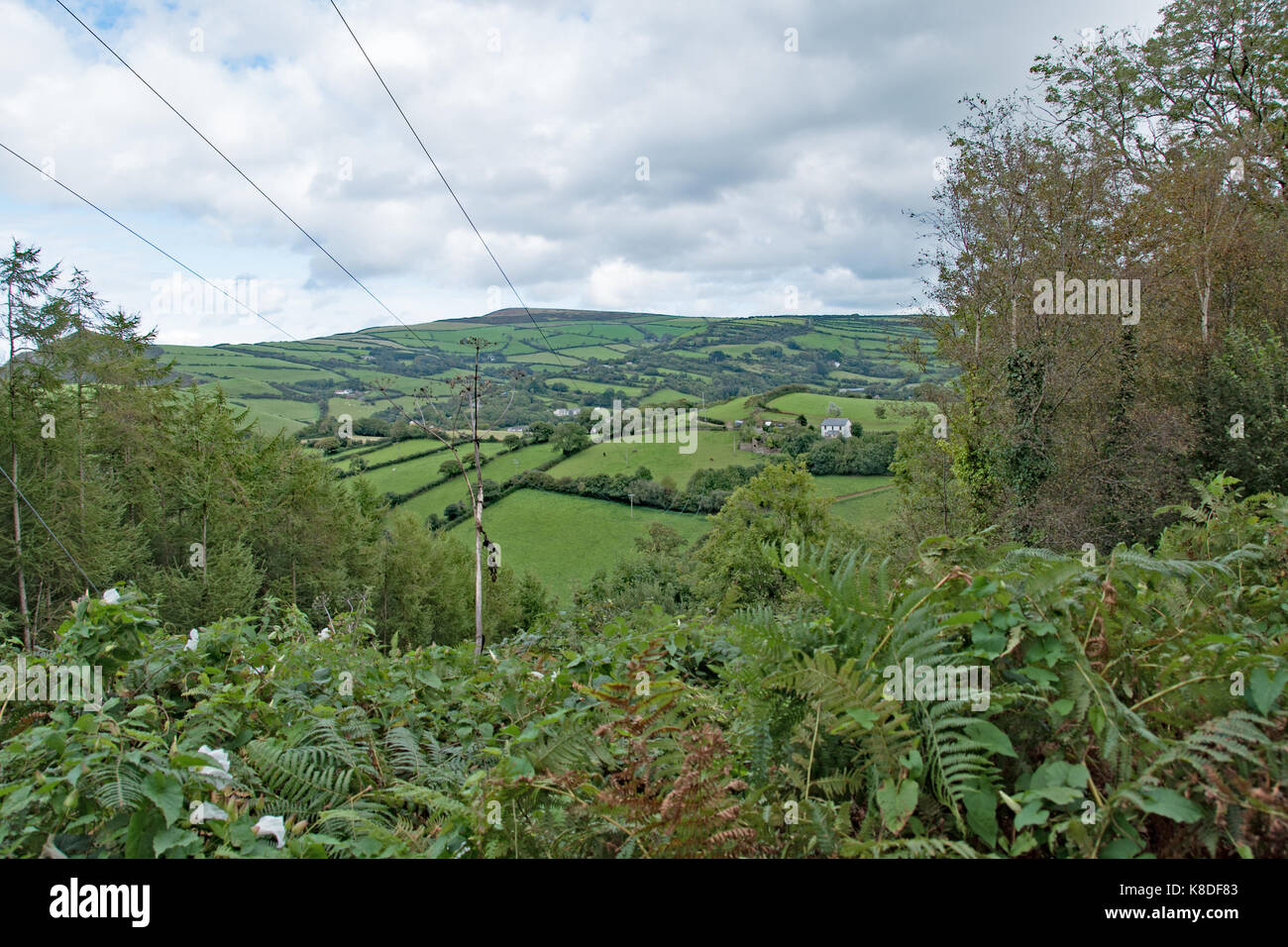Countryside around Combe Martin, North Devon Stock Photo - Alamy