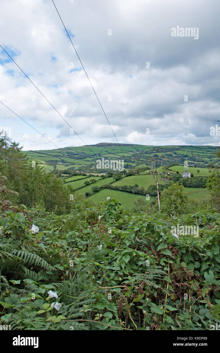 Countryside around Combe Martin, North Devon Stock Photo - Alamy