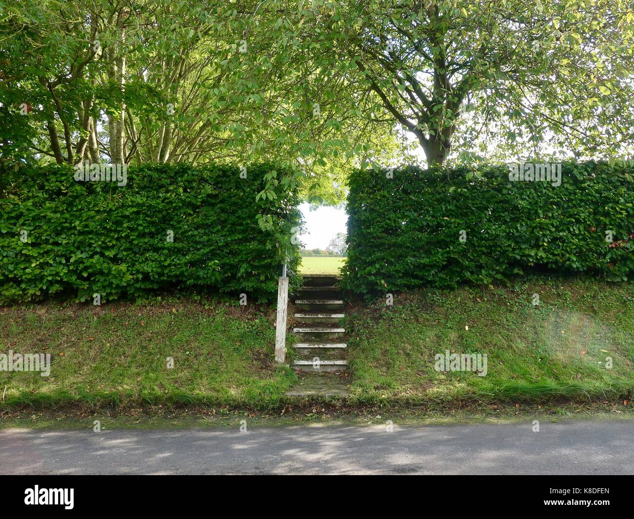 Gap in hedge hi-res stock photography and images - Alamy