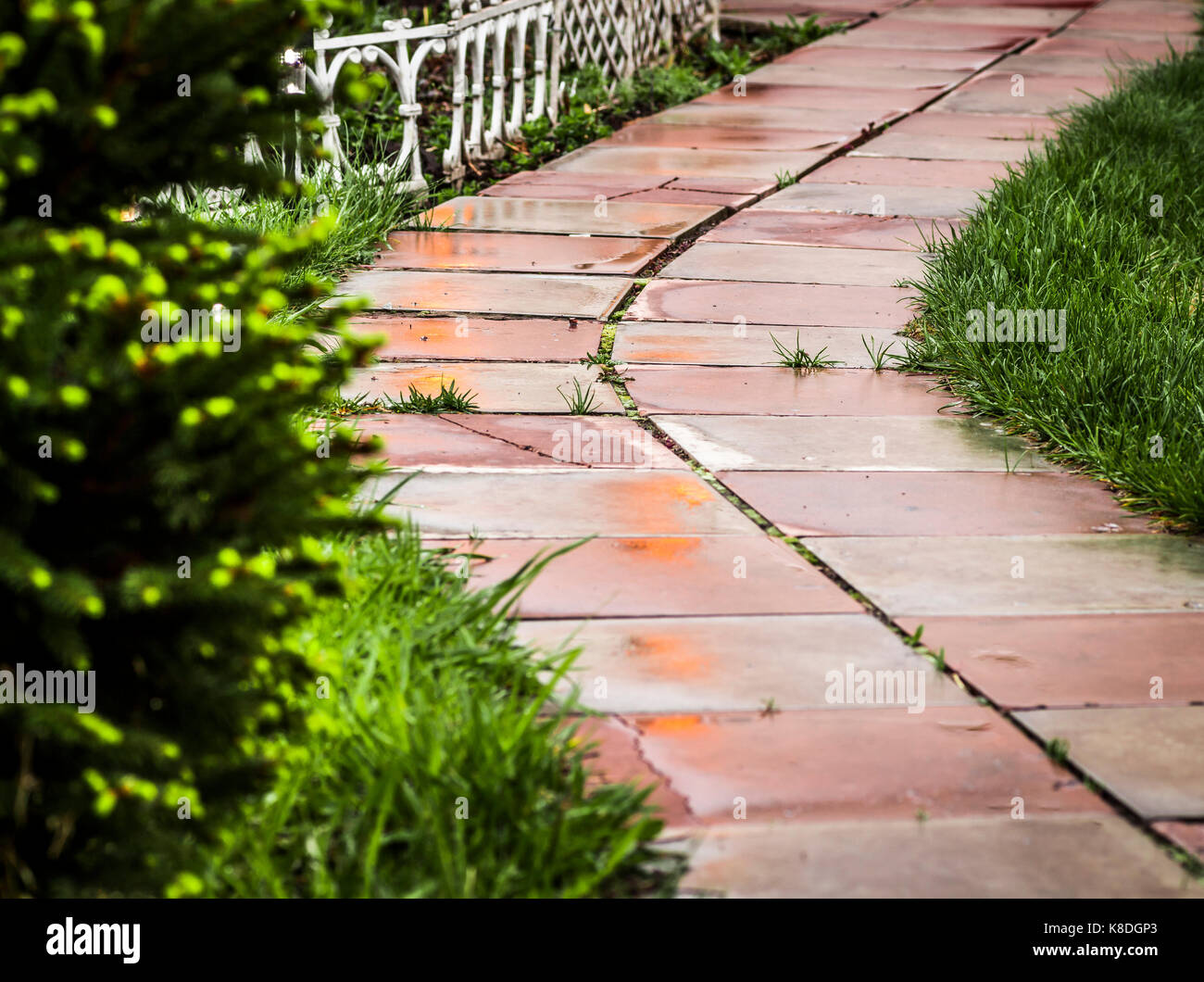Part of a wet garden path in the backyard of a private house Stock ...