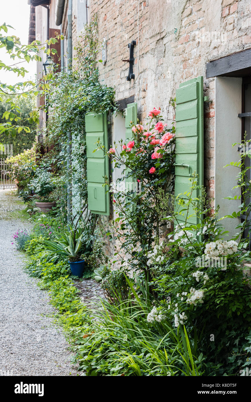 Walking in the garden of ancient roses Stock Photo - Alamy