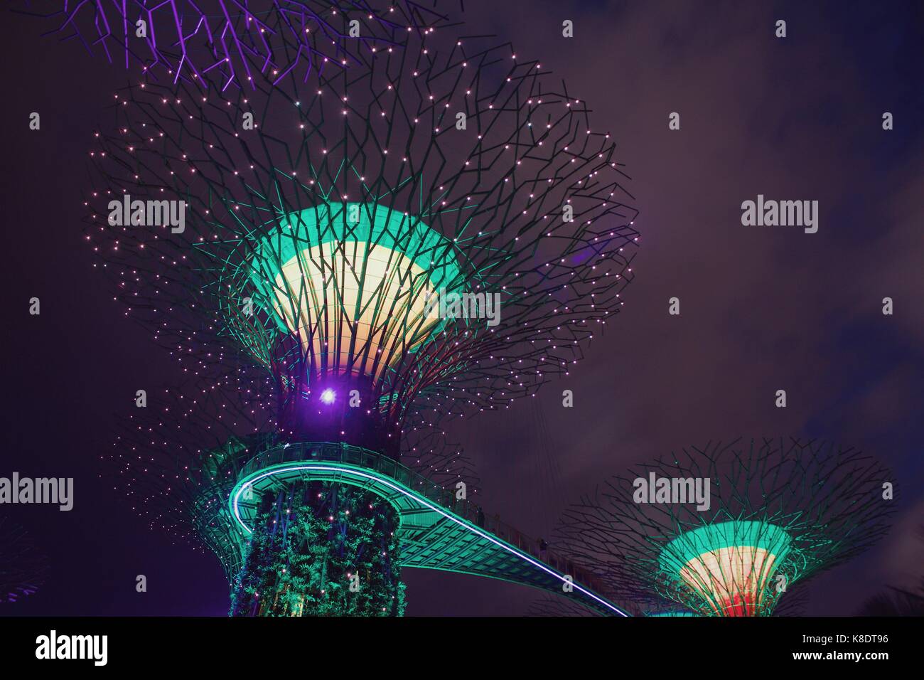Supertrees at night Stock Photo - Alamy