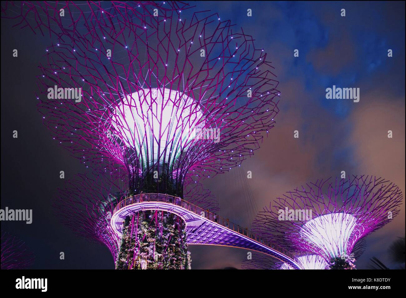 Supertrees at night Stock Photo - Alamy