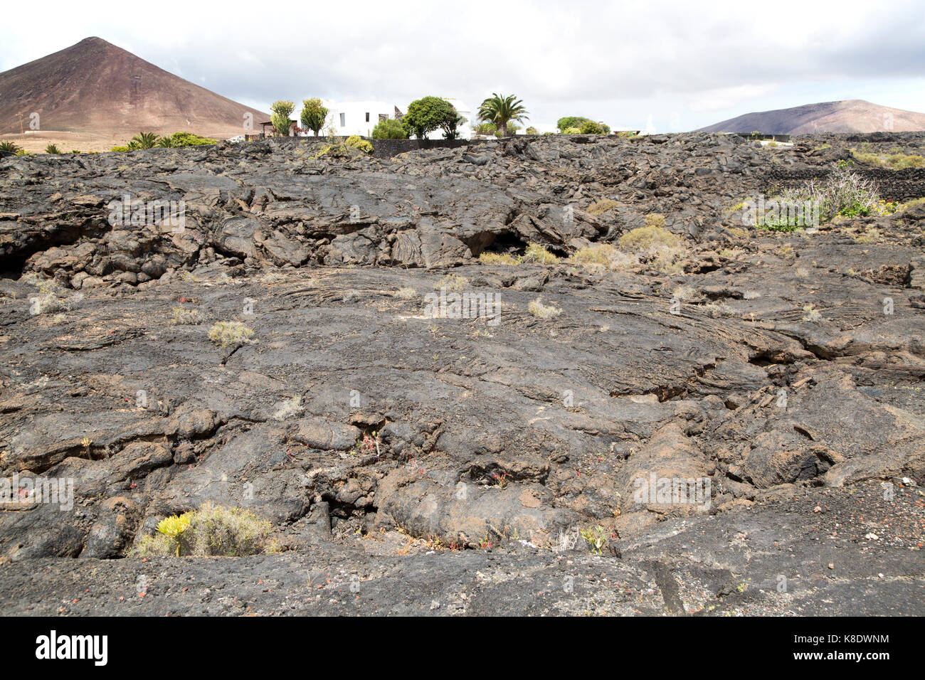 Solidified pahoehoe ropey lava field hi-res stock photography and ...