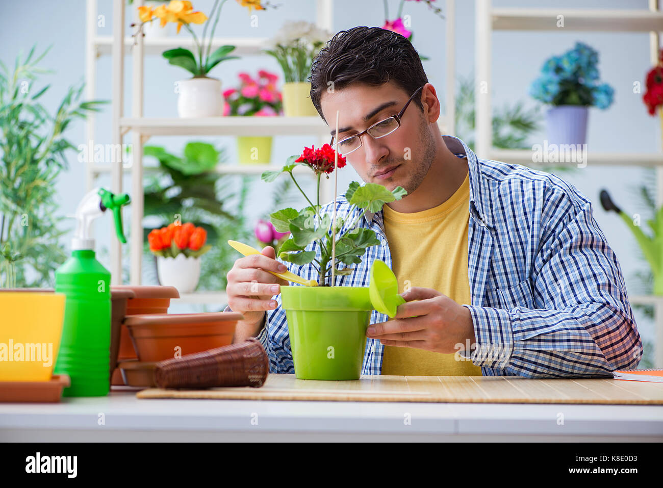 Young man florist working in a flower shop Stock Photo - Alamy