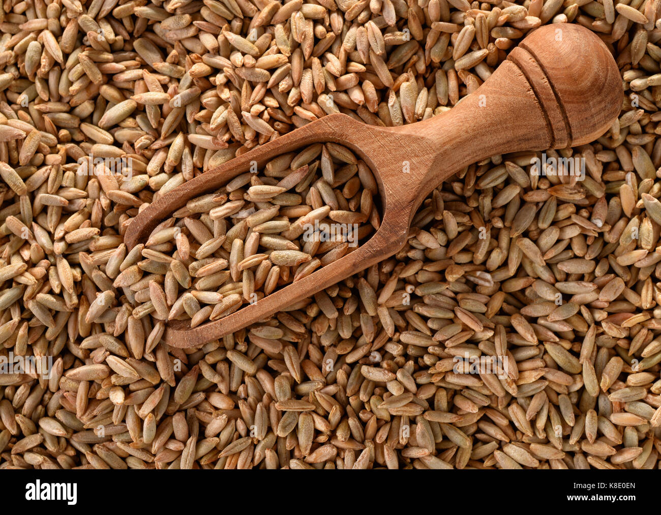 Grains ripe corn macro hi-res stock photography and images - Alamy
