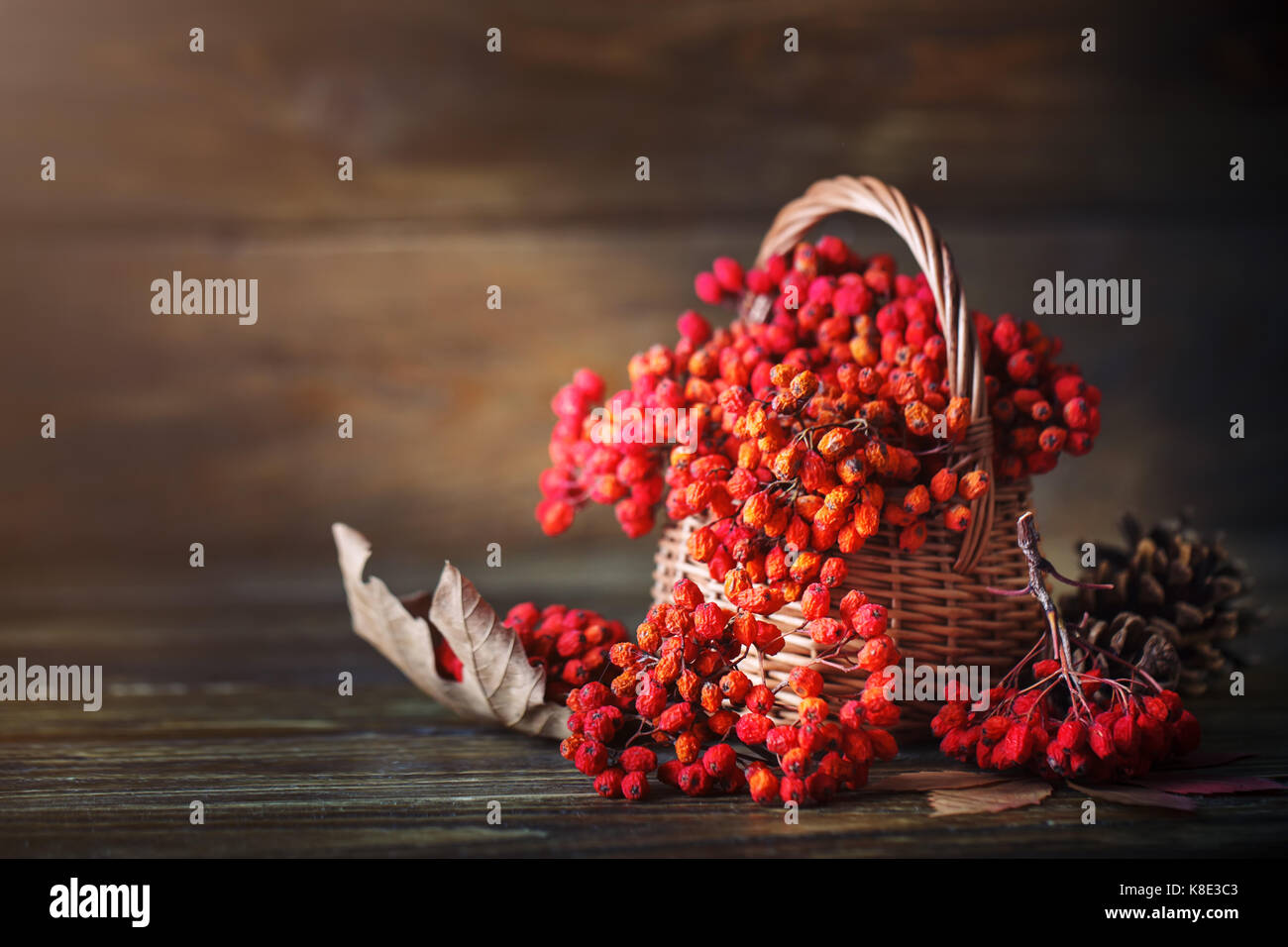 Rowan tree wood texture hi-res stock photography and images - Alamy
