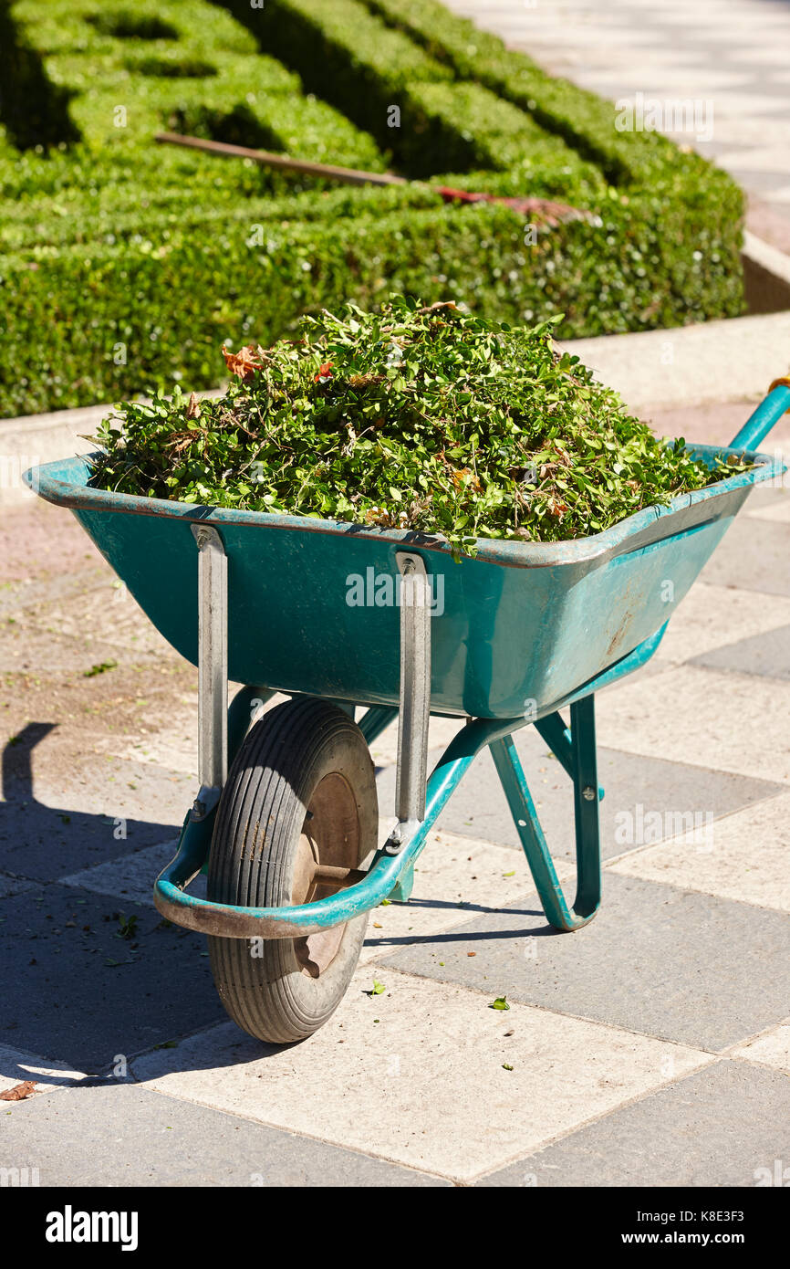 Wheelbarrow with green plants and bushes. Gardening works. Equipment ...