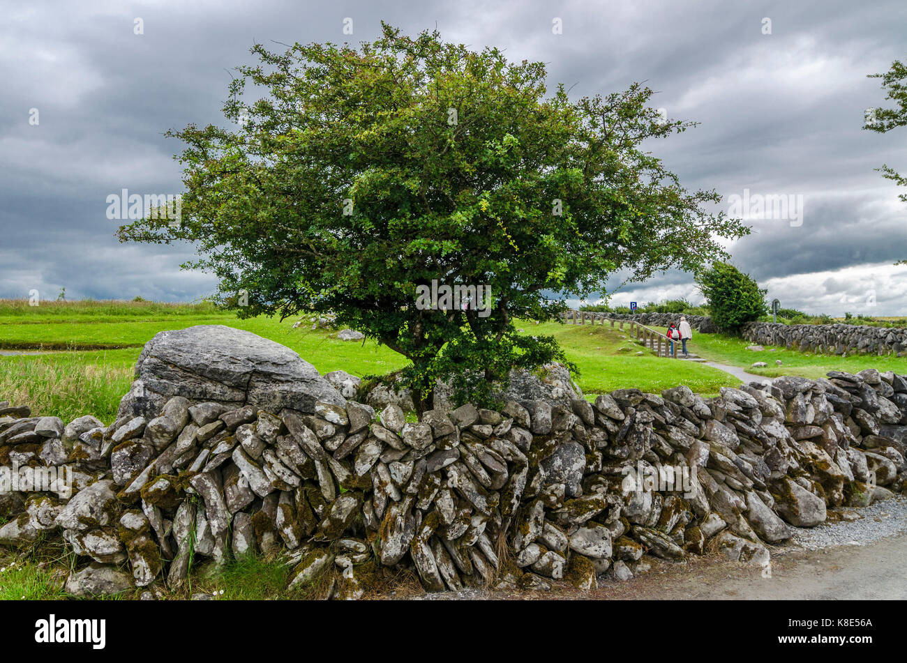 Ireland, demarcation typical for country by natural stone wall , Irland ...