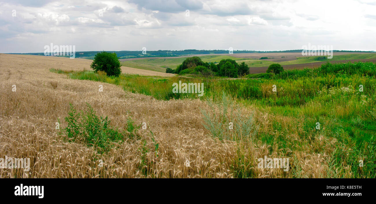 Ukrainian landscape hi-res stock photography and images - Alamy