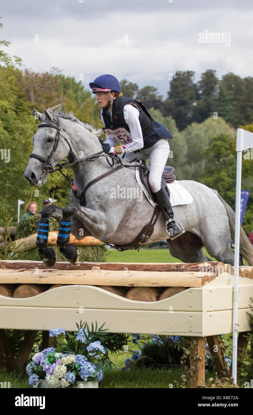 Sarah stricker hi-res stock photography and images - Alamy