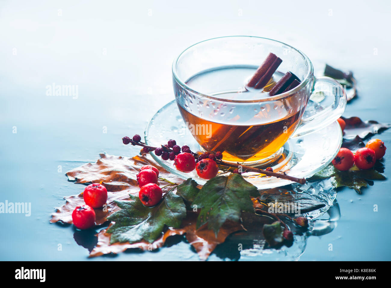 Glass tea cup in autumn still life with rain, leaves, berries on a wet ...
