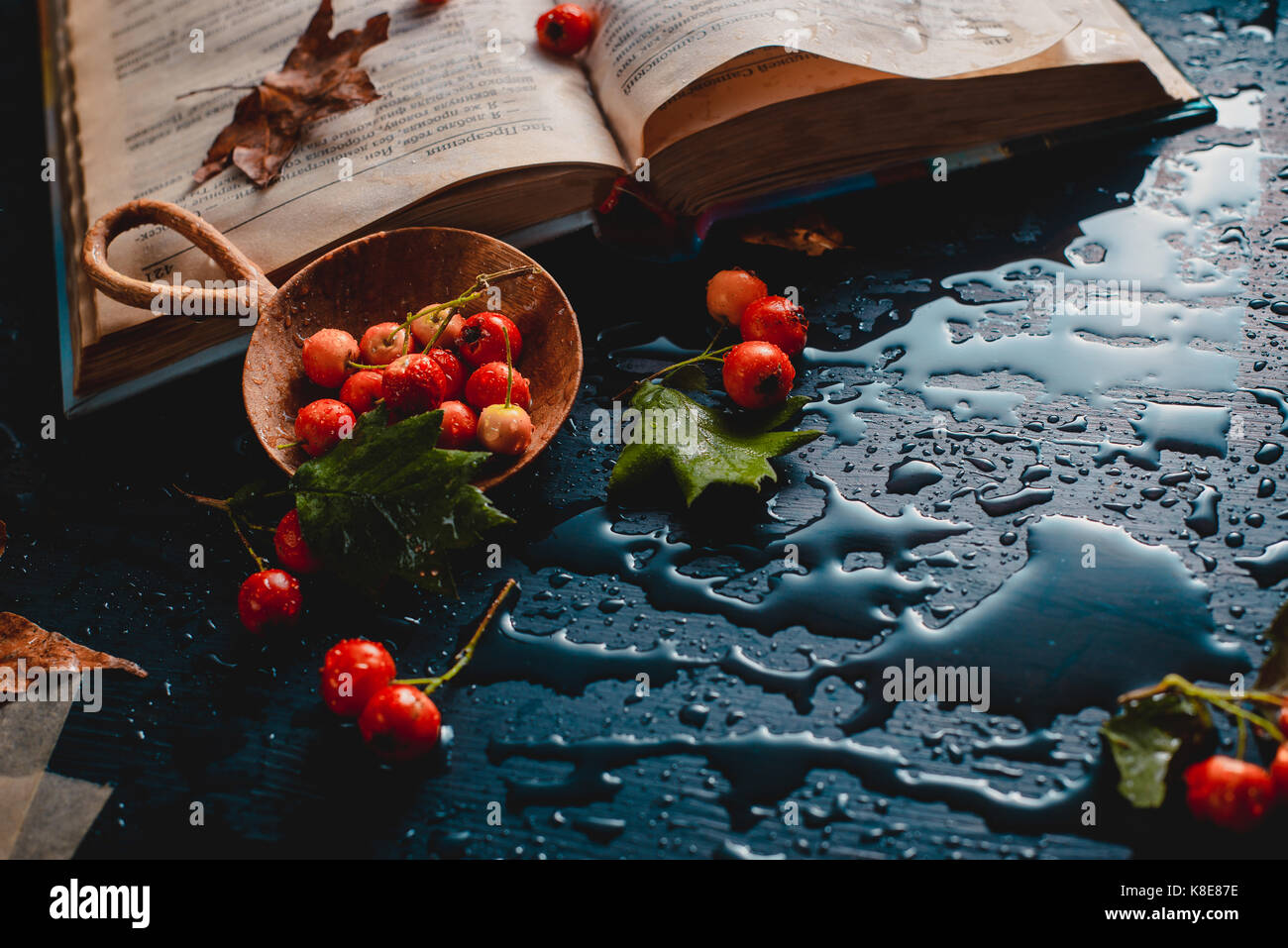 Still Life Photography Books