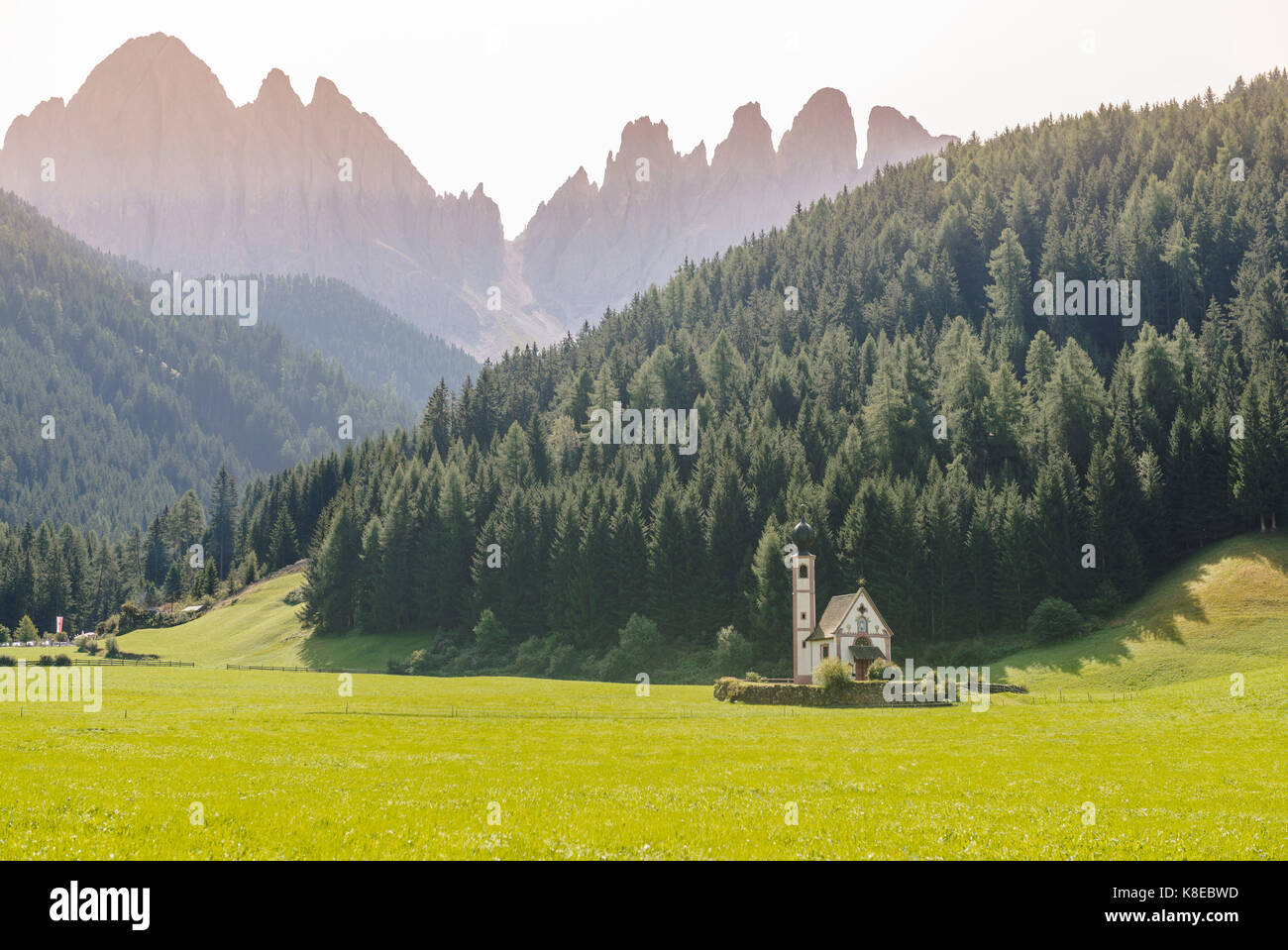 Ranui High Resolution Stock Photography and Images - Alamy