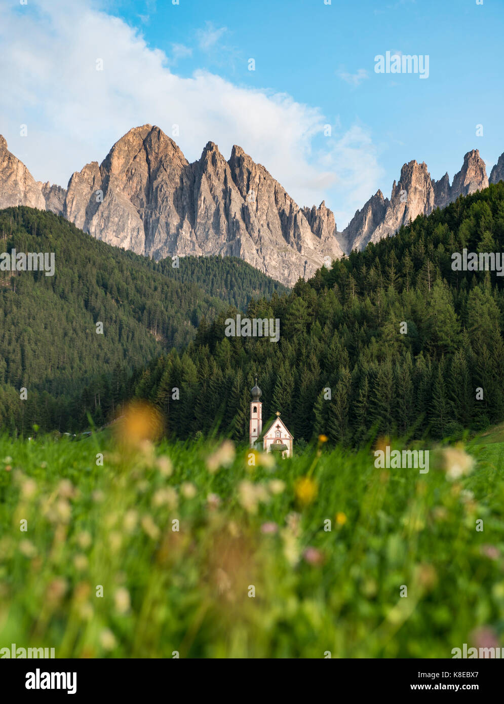 Ranui High Resolution Stock Photography and Images - Alamy