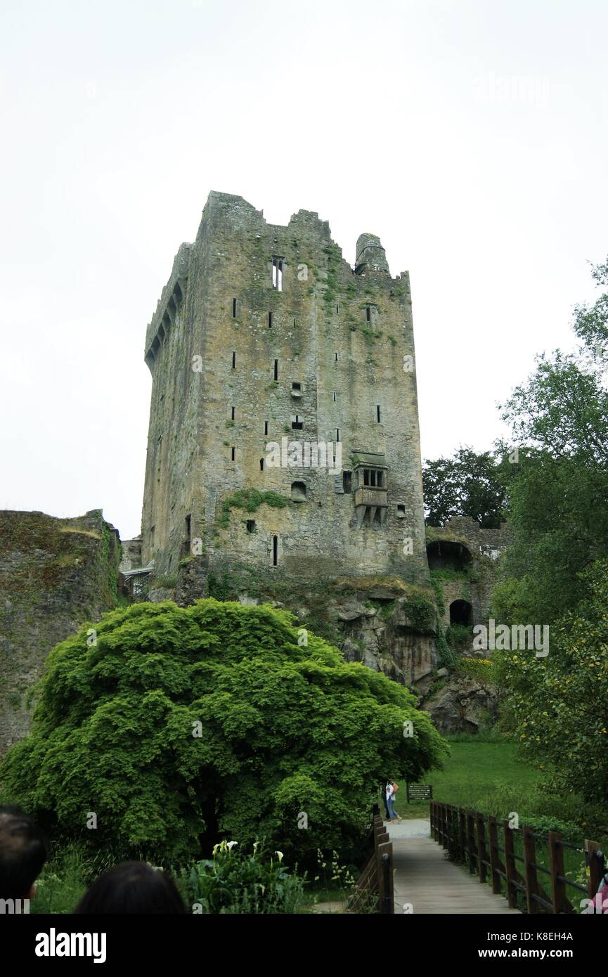 Blarney Castle, Ireland Stock Photo - Alamy