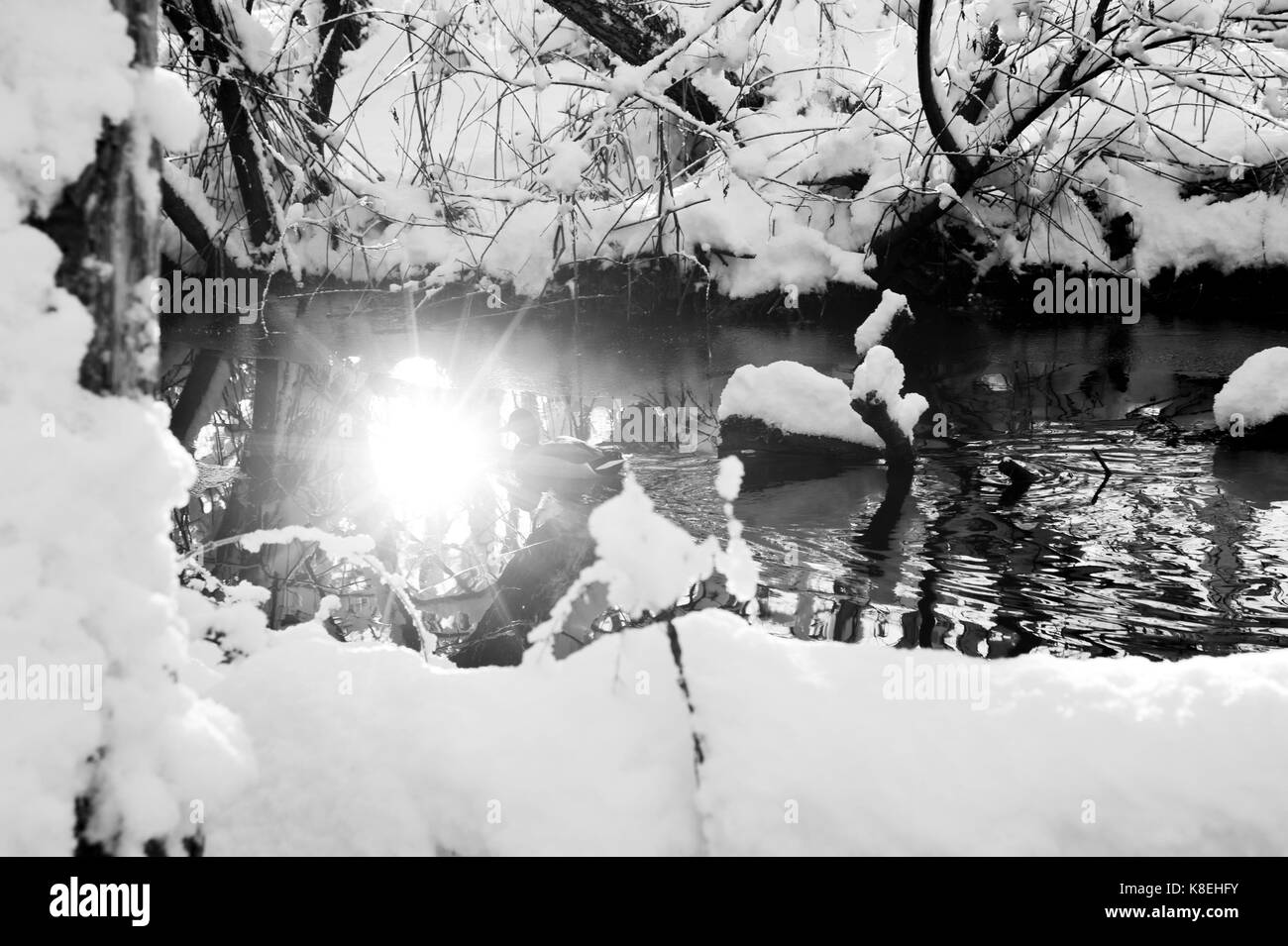 Manchester railway line Black and White Stock Photos & Images - Alamy
