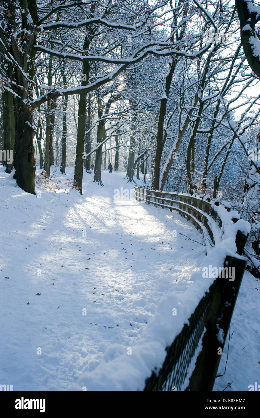 Worsley Woods, Worsley, Manchester Stock Photo - Alamy