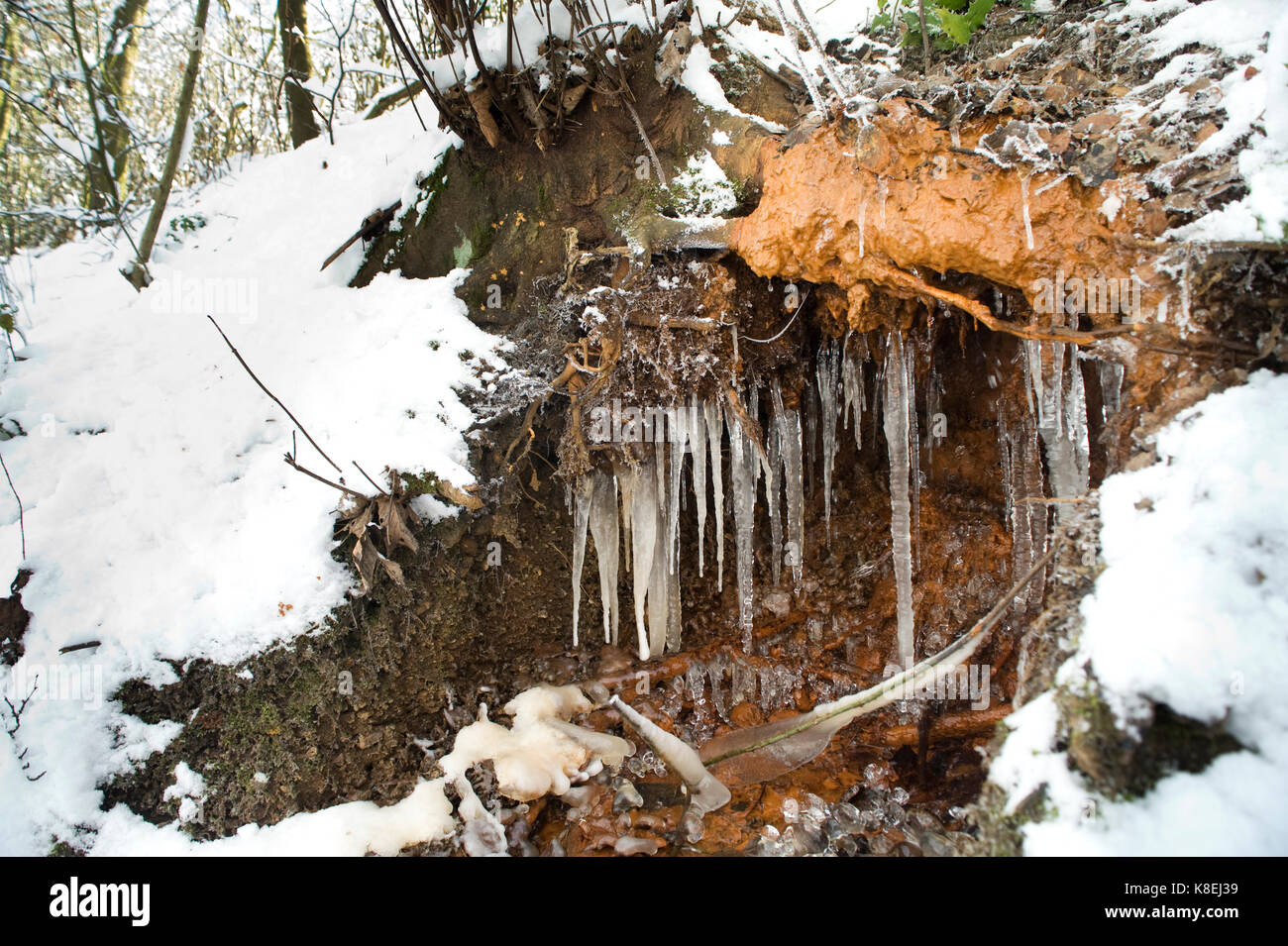 Worsley Woods, Worsley, Manchester Stock Photo - Alamy