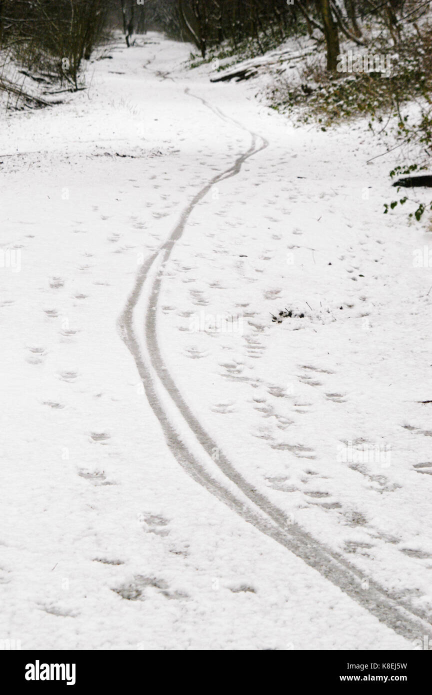 Worsley Woods, Worsley, Manchester Stock Photo - Alamy
