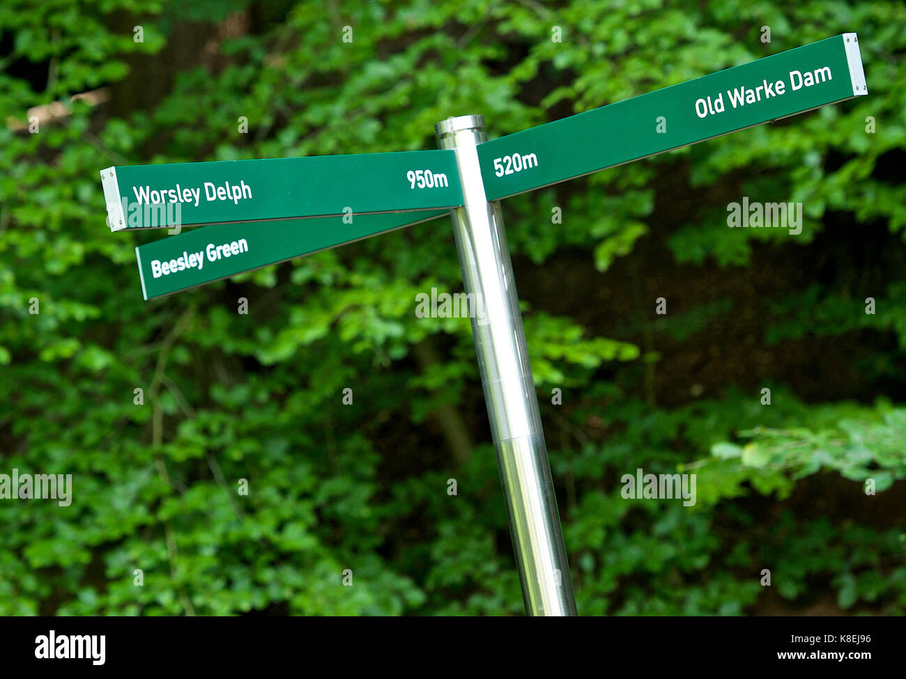Worsley Woods, Worsley, Manchester Stock Photo - Alamy