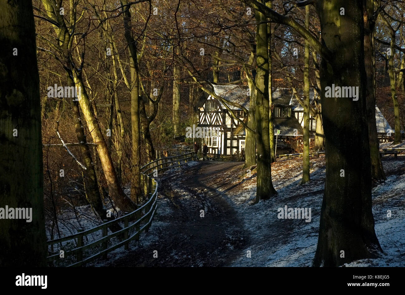 Worsley Woods, Worsley, Manchester Stock Photo - Alamy