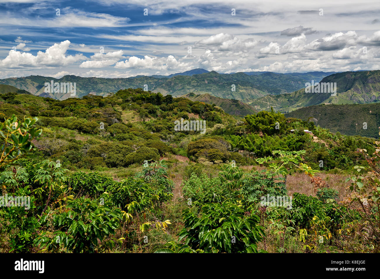 landscape of Andes mountains in Tierradentro, Inza, Colombia, South ...