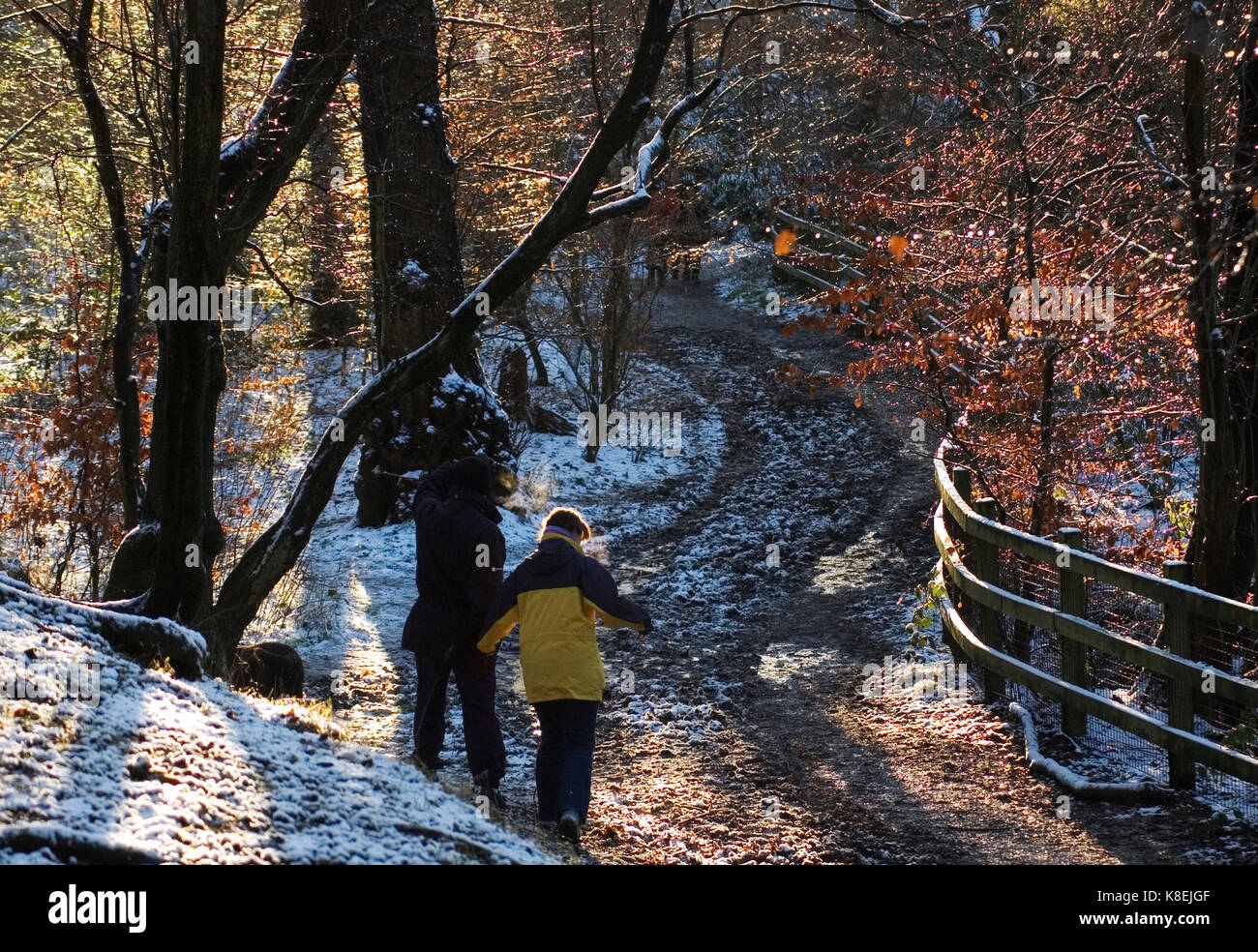 Worsley Woods, Worsley, Manchester Stock Photo - Alamy