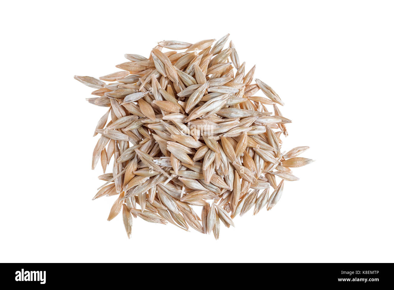 Barley detail Cut Out Stock Images & Pictures - Alamy