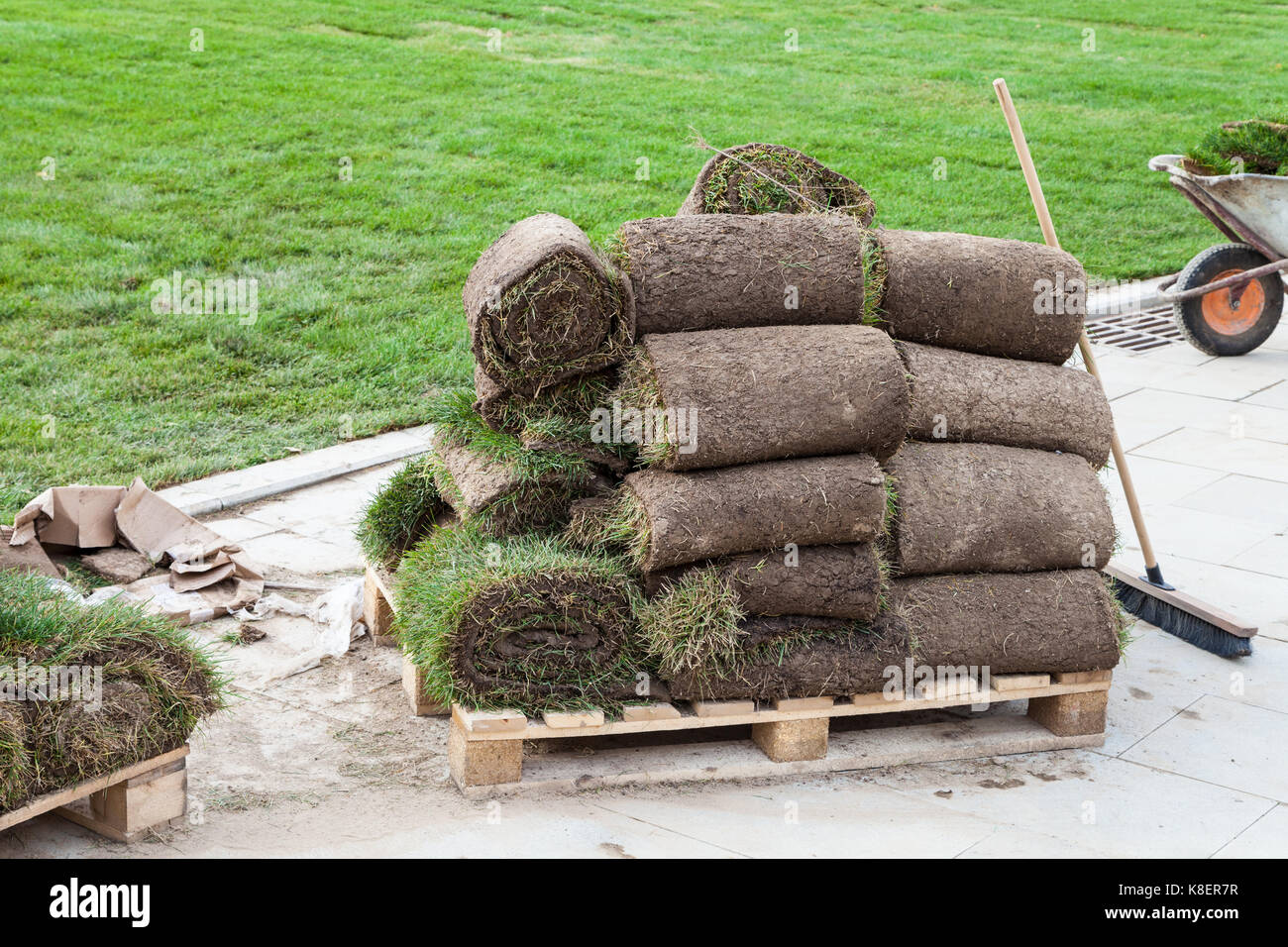 installing a new lawn - pieces of turf on a wooden pallet near green ...
