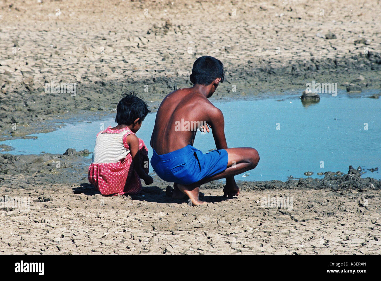 Cracked and baked mud in a wetland at the height of the dry season ...